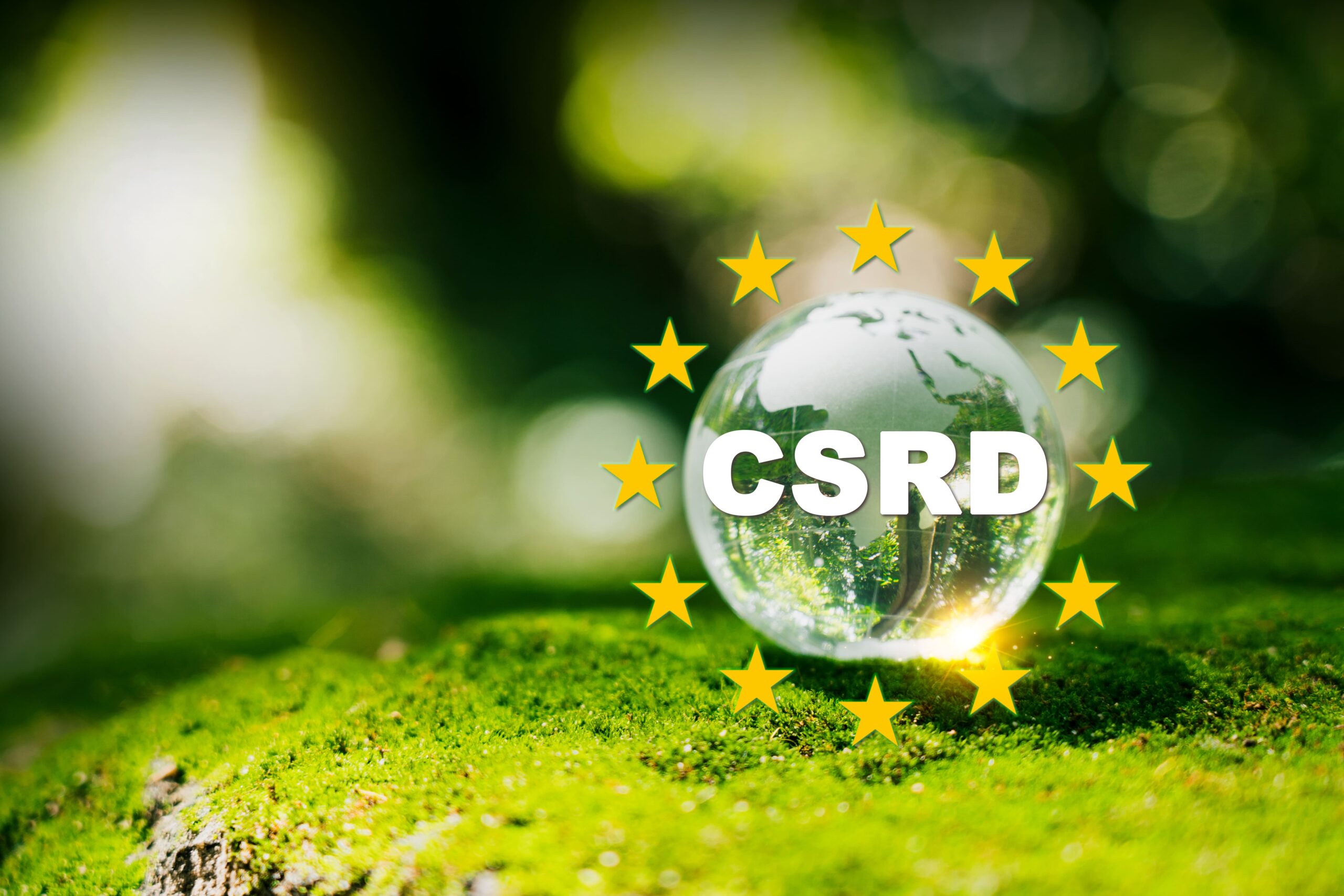 Comprendre la CSRD et les ESRS - G-ON