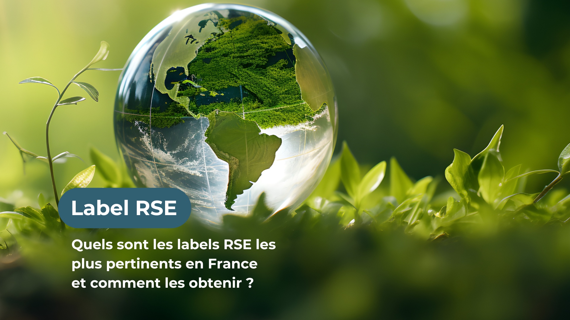 B Corp, Ecovadis, ISO 26000, Lucie : Tout savoir sur les labels RSE et ...